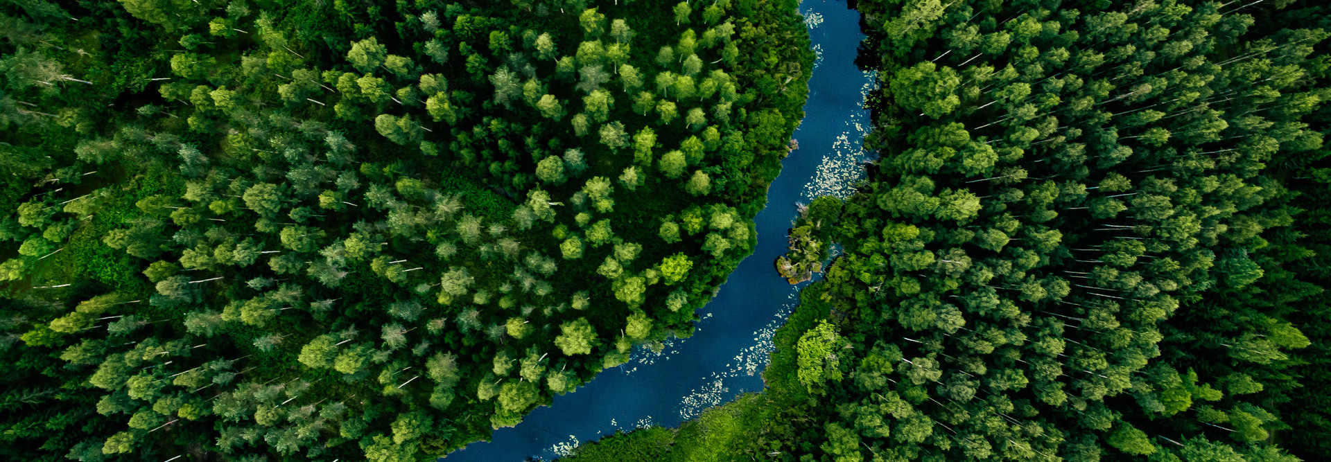 What Is GIS and How Do State & Local Governments Use It? | StateTech ...